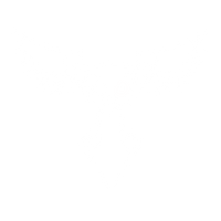 Audacious Concept EDC Gear