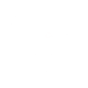 Audacious Concept EDC Gear